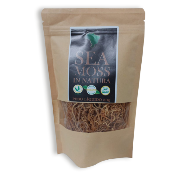 Seamoss – Super Alimento Marinho